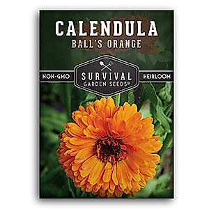 Survival Garden Seeds - Ball's Orange Calendula Seed for Planting - Packet with Instructions to Plant and Grow Medicinal Herb Plants in Your Home Vegetable Garden - Non-GMO Heirloom Variety