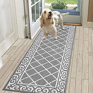 HEBE Indoor Door Mat Runner 20"x59" Non Slip Front Door Welcome Mats Washable Shoe Mats Dirt Trapper for Entryway Low Profile Kitchen Carpet for Entrance Hallways Entrance Mat for Dogs