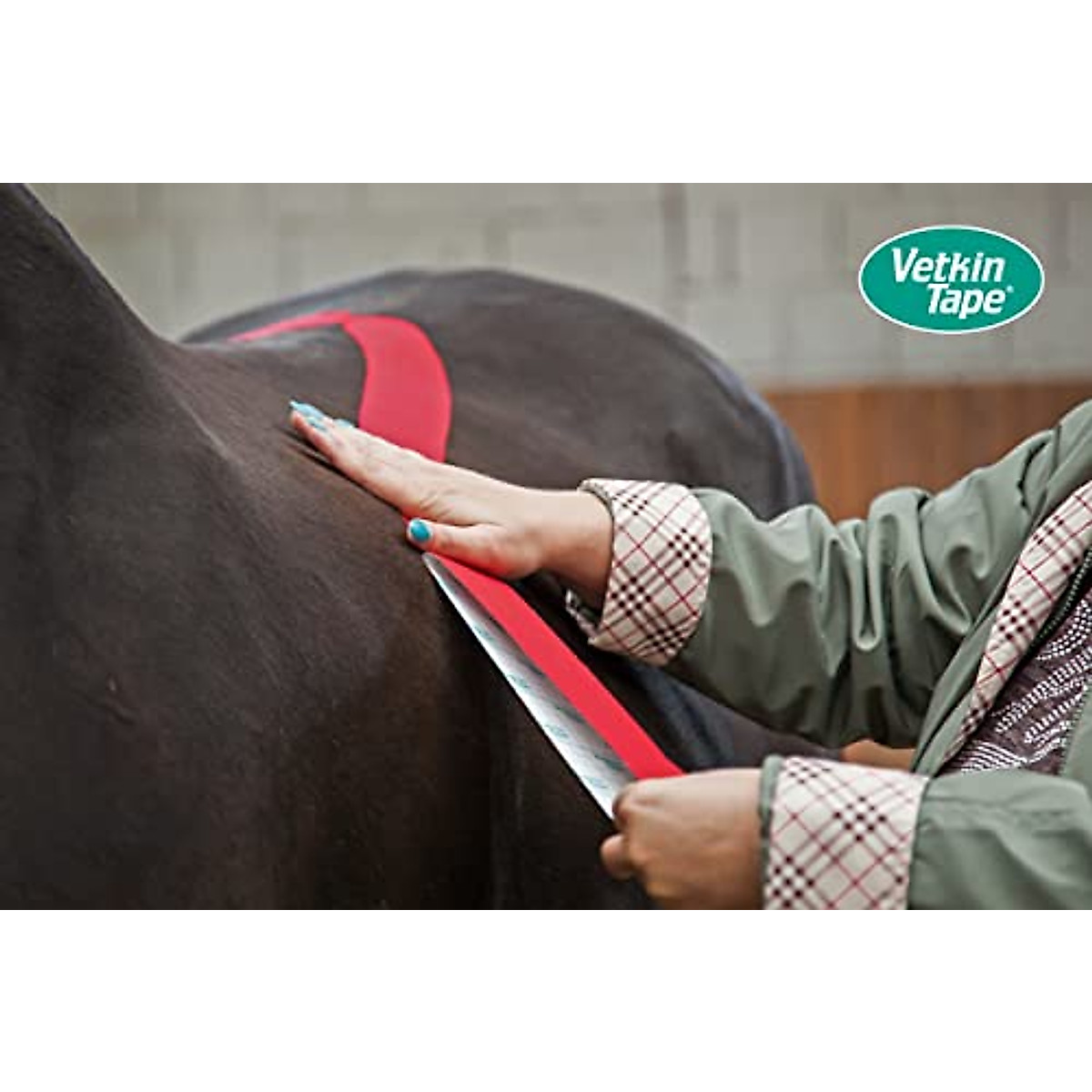 VetkinTape Displaybox | Equine & Canine Kinesiology Tape | Kinesiology Tape for Veterinary Purposes | 10 Uncut Rolls 2.4" X 16' | Available Colors: Black, Blue, Red, Orange, Lime & Pink (Lime)