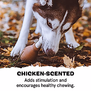 Barkbox Scented Food Themed Dog Toys & Chews, Tough Rubber & Nylon Super Chewer Treat Dispensing Puzzle Toys, Balls, & Teething Toys for Small, Medium, & Large Dogs & Puppies, Turkey Day Drumstick