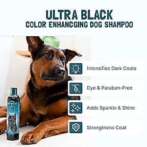 Bio-Groom Ultra Black Color Enhancer Pet Shampoo, 1-Gallon
