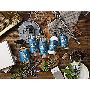 Caldrea Dish Soap, Biodegradable Dishwashing Liquid made with Soap Bark and Aloe Vera, Basil Blue Sage Scent, 16 oz