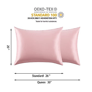 Jadebeads 100% Pure Mulberry Silk 22Momme Luxurious Pillowcase for Hair and Skin Grade 6A Pink Silk Pillowcase Anti Acne & Anti Aging Silk Pillow Case with Zipper (Queen30 x 20", 1 Pack)
