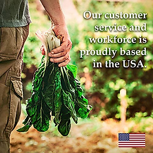 Culinary Herb Garden Starter Kit - Indoor Herb Garden Kit Complete w/ 10 Varieties of Non-GMO Heirloom Herb Seeds with Pellets and Greenhouse, Includes 64 Page Herb Growing Guide