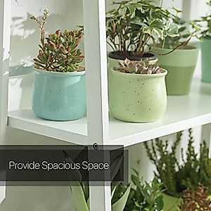 MoNiBloom Ladder Shelf for Plant Flower Book, Bamboo 3-Tier Trapezoid Storage Shelf Organizer for Living Room Balcony Kitchen Bathroom Home Office, White