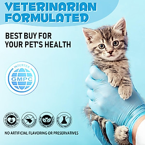 Kennel Cough for Cats, Kennel Cough Herbal Drops, Cats Cough Reliel Liquid Drop for Cats Allergy Relief, Soothes Cats Cough, Pet Health Supplies for Cat Cough Care, Chicken Flavor - 1 Pack / 2 Fl oz