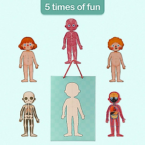 Human Body Puzzle for Kids Toddlers 90PCS Magnetic Boy Girl Anatomy Play Set Body Parts Organs Muscles Skeleton and Bones Wooden Puzzle Toys Aged 3+ Educational Learning Preschool Toys