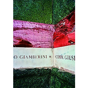 Sigma DP1x 14MP FOVEON CMOS Sensor Digital Camera and 2.5 Inch LCD