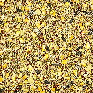 Kaytee Backyard Wildlife Food Blend For Wild Squirrels, Chipmunks, Rabbits and Other Backyard Wildlife, 5 Pound