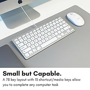 Macally Small USB C Keyboard - Plug & Play Compatible Wired Apple Keyboard for Mac Mini, MacBook Pro/Air, iMac, iPad, Windows, Chromebook with USBC Port - Compact & Mini USB Type C Keyboard - Silver
