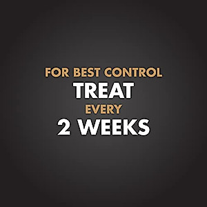 Spectracide Immunox Fungus Plus Insect, 1 Pack