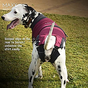 MAXX Recovery Suit for Dogs, E Collar Alternative, Post-Operative Onesie by Vet (Ruby Red Grey, M+)