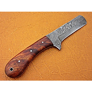 Black Smith Custom Knives DM-BC-01 Handmade Damascus Steel Bull Cutter Cowboy hunting castration and skinning knife, 8" Rose Wood Handle, Fixed Blade EDC Knife With Leather Sheath