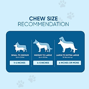 123 Treats Rawhide Bones for Dogs– 6-7" (10 Count) Natural Raw Hide Bones, Long Lasting Dog Chews, Free Range Rawhide Chews for Dogs with No Additives or Hormones, | Ideal for All Dog Sizes