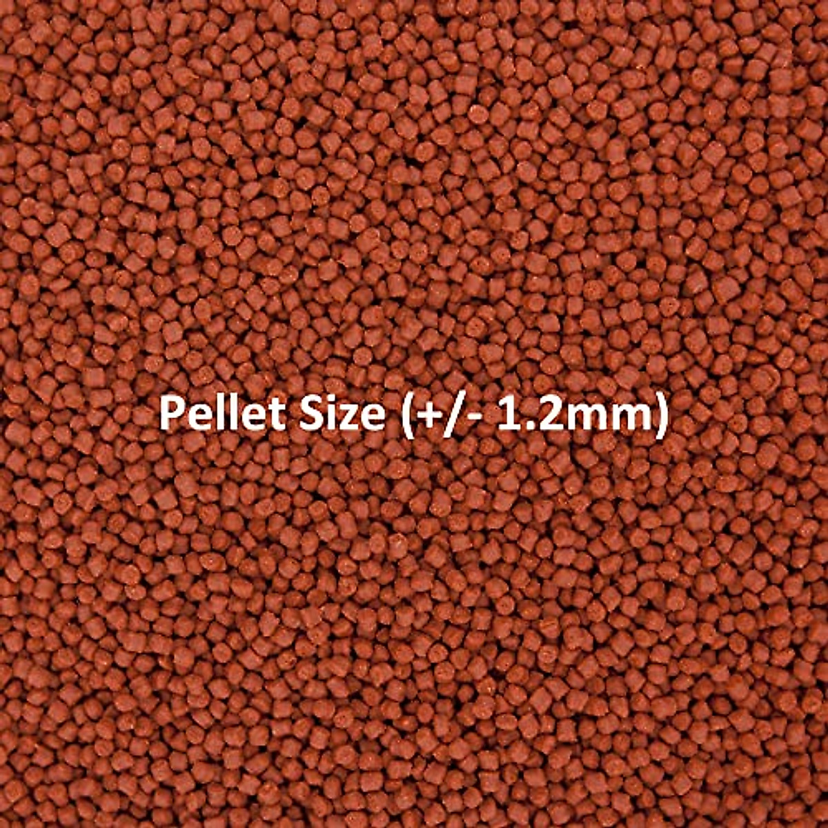 Ocean Nutrition Formula One Pellets 14-Ounces (400 Grams) Jar - Small Pellet Size