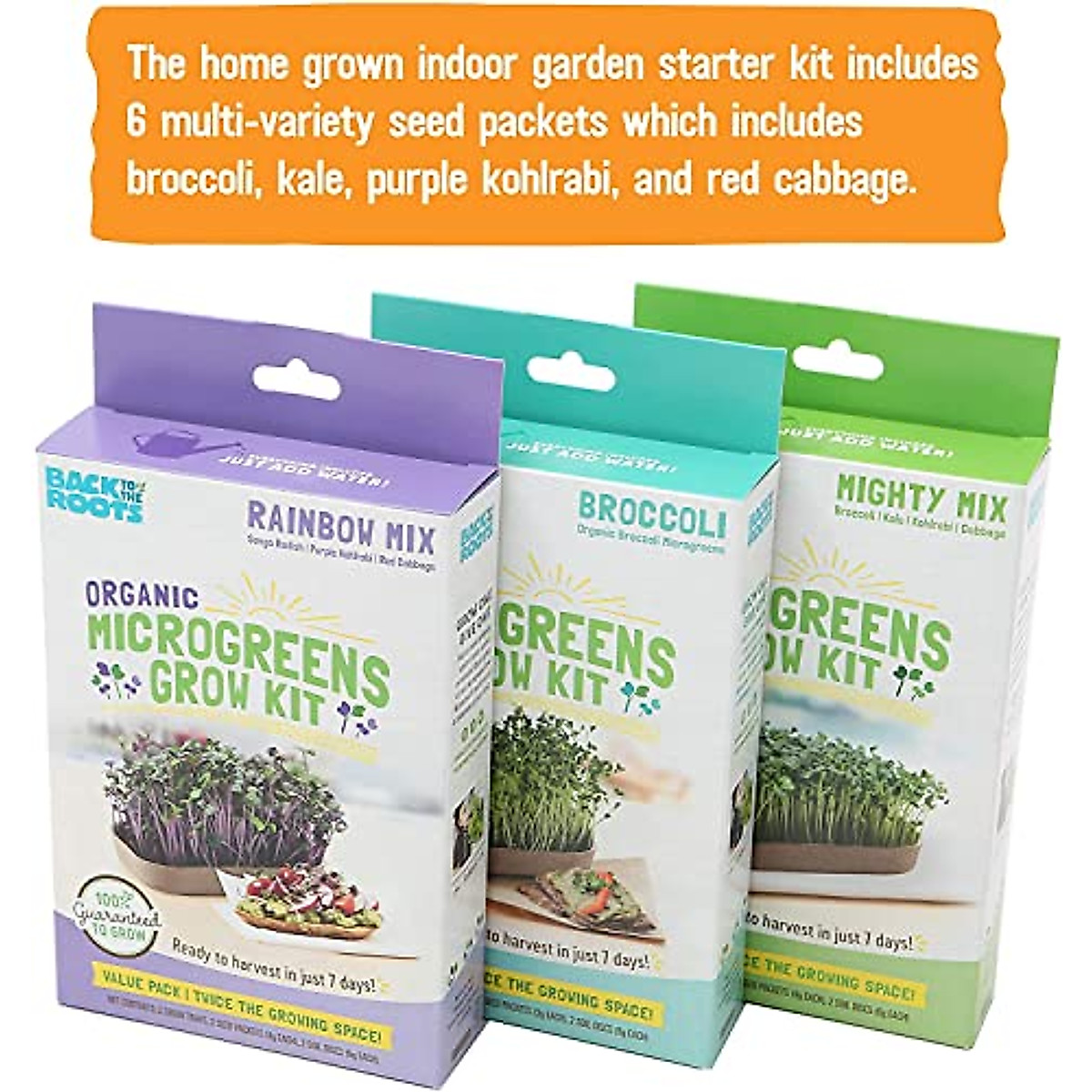 Back to the Roots DIY Microgreen Grow Kit, 6-Grow Variety Pack