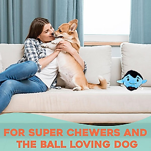 Flourish Pets 2 in 1 Halloween Multi-Layer Chew Toy for Active Dogs | Non-Toxic BPA Free Double Stitched Soft Fabric Exterior Dog Toys | Long-Lasting Dog Plush Toys– Dracula 3.5"