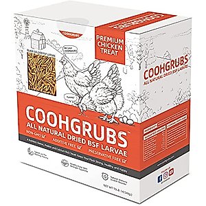 coohgrubs Premium Quality Dried Black Soldier Fly Larvae, Natural Nutritious Grubs for Chickens, High Protein and Calcium Rich Treats for Laying Hens, Ducks, Geese, Turkeys, Quails and More