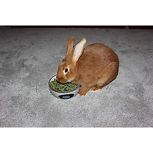 FAMILY FARM AND FEED | Alfalfa Hay Food | Small Pet | Young and Adult | Pellets | 5 Pounds