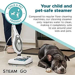 Steam and Go 10-in-1 Steam Mop - Floor Steamer with Detergent Chamber and Detachable Handle for Tile Grout, Clothes, Furniture, Hardwood, Upholstery, & Carpet, Handheld Steam Cleaner for Home Use