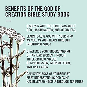 God of Creation - Bible Study Book: A Study of Genesis 1-11
