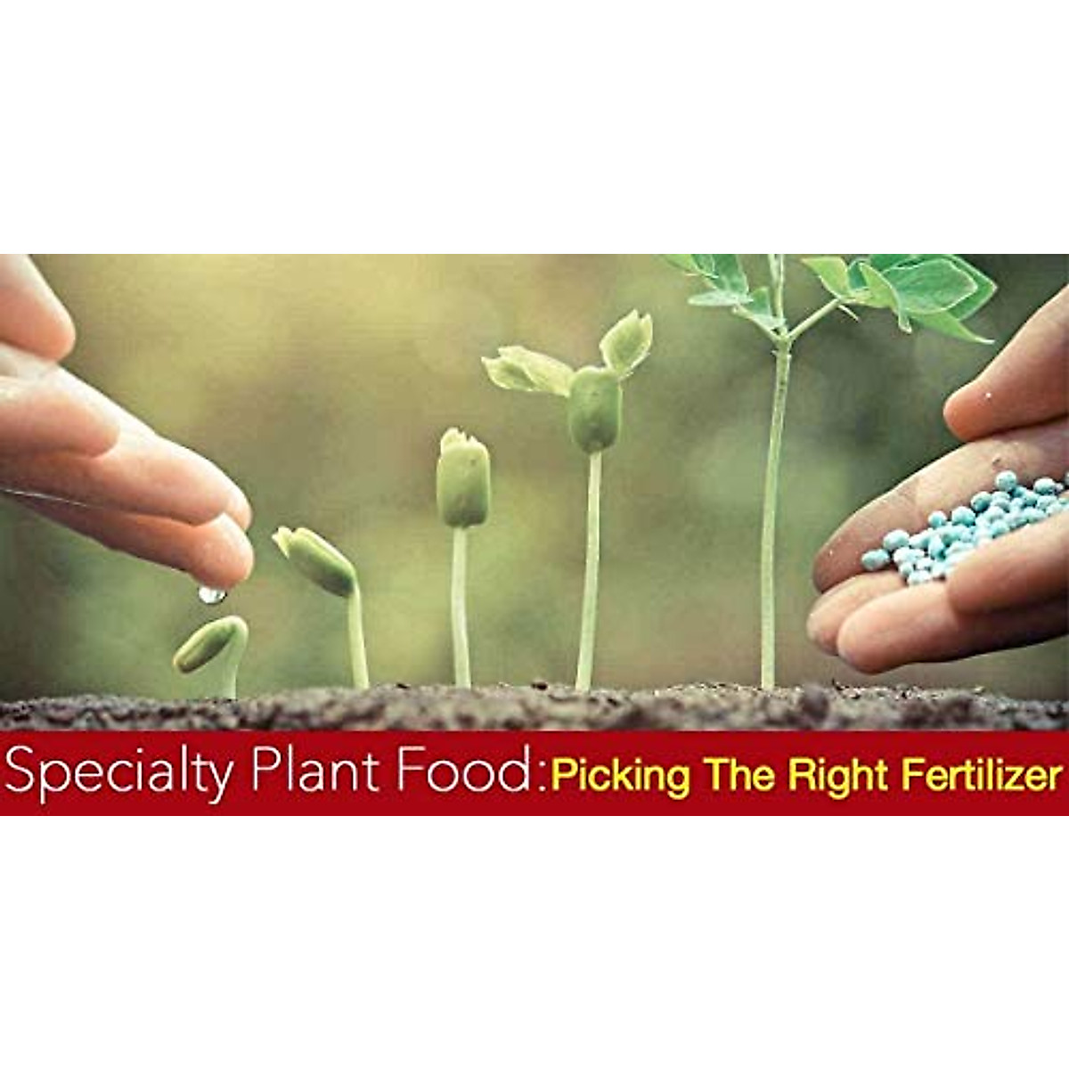 Orchid Nerd ® Osmocote Classic Flower and Vegetable Smart-Release Plant Food, 15 oz (14-14-14 Plant Fertilizer)
