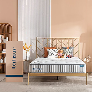 Twin Mattress,Lechepus 10 Inch Premium Hybrid Foam Mattresses in a Box,Pocket Innersprings with Memory Foam for Motion Isolation,Breathable Soft Cover Mattress Medium Firm,10-Years Support