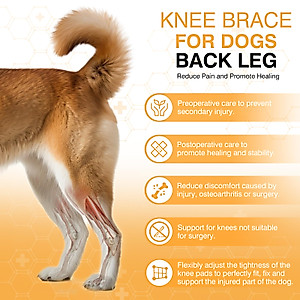 Dog Knee Brace Dog ACL Brace Hind Leg Dog Knee Brace for Torn ACL Hind Leg with Side Stabilizer ACL Brace for Dogs Pain Relief Dog ACL Knee Brace Extra Support Treats Kneecap Dislocation Arthritis