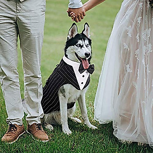 Kuoser Dog Tuxedo Dog Suit and Bandana Set, Dogs Tuxedo Wedding Party Suit, Dog Prince Wedding Bow Tie Shirt Formal Dog Wedding Attire for Large and Medium Dogs Golden Retriever Samo Bulldogs
