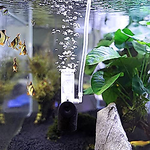 WEAVERBIRD Mini Sponge Fish Filter Ultra Quiet 3-in-1 Filtration System Air Pump Filter for Small Fish Tank