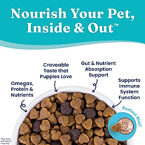 Solid Gold Dry Puppy Food w/Nutrientboost - Made with Real Chicken & Nutritious Superfoods - Love at First Bark Grain Free Puppy Dry Food for Healthy Growth, Energy and Gut Wellness - 22 LB Bag