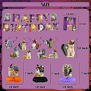Halloween Cat Birthday Party Supplies Halloween Cat Birthday Party Decorations Includes 1 Birthday Banner, 3 Halloween Cat Honeycomb Centerpieces, 8 Hanging Swirls