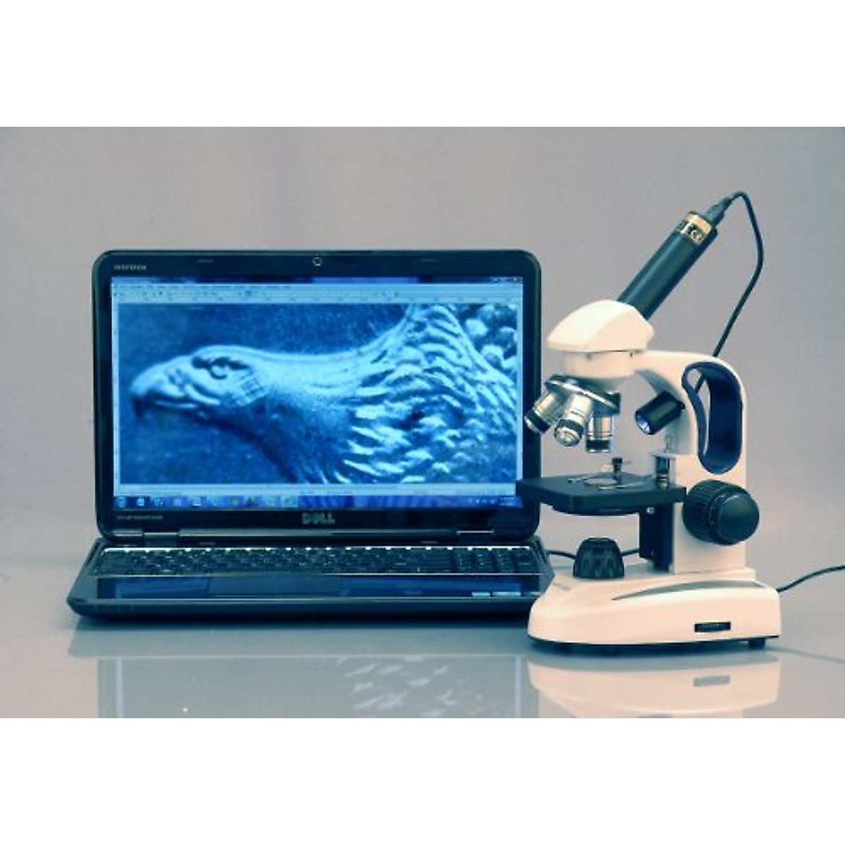 AmScope M158B-2L Cordless Compound Monocular Microscope, WF10x and WF20x Eyepieces, 40x-800x Magnification, Upper and Lower LED Illumination with Rheostat, Brightfield, Single-Lens Condenser, Coaxial Coarse and Fine Focus, Plain Stage, 110V or Battery-Pow
