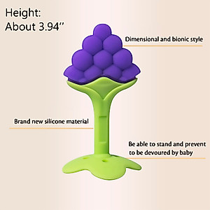 6 Pack Baby Teething Toys for Newborn Infant, BPA Free Freezer Safe Silicone Fruit Baby Teethers Soothe Babies Gums Set for Babies 0-6 Months 6-12 Months