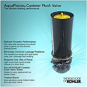 Kohler 5172-HC-0 San Souci One-Piece Toilet, White