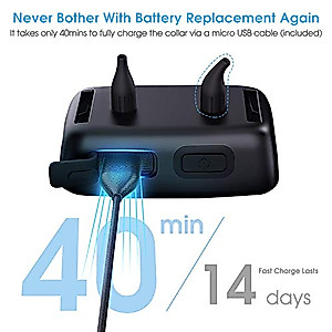 Dr.Trainer Dog Barking Shock Collar with APP Control, Waterproof Bark Collar with Custom Auto Intelligent Progressive Mode, Safe and Humane Rechargeable No Bark Collar for Small Medium Large Dogs