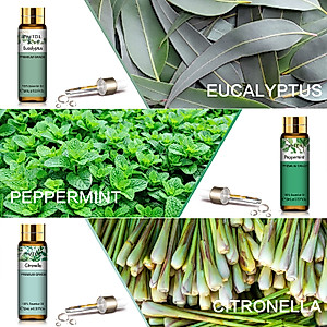 PHATOIL 9PCS Premium Quality Essential Oils Set for Soap Making Diffusers, 10ml/0.33fl. oz Fragrance Oils, Long Lasting Scents, Ideal Gift Set for Friends and Families