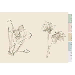 Royal Horticultural Society Desk Address Book