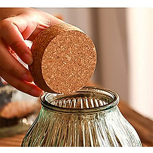 123Arts Glass Relief Cactus Candy Jar Candy Dish Container Snack Jar Food Storage Jar with Lid