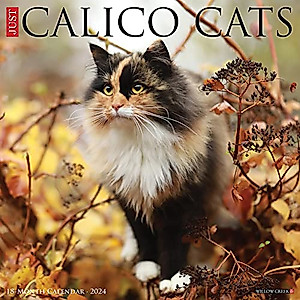 Willow Creek Press Calico Cats Monthly 2024 Wall Calendar (12" x 12")