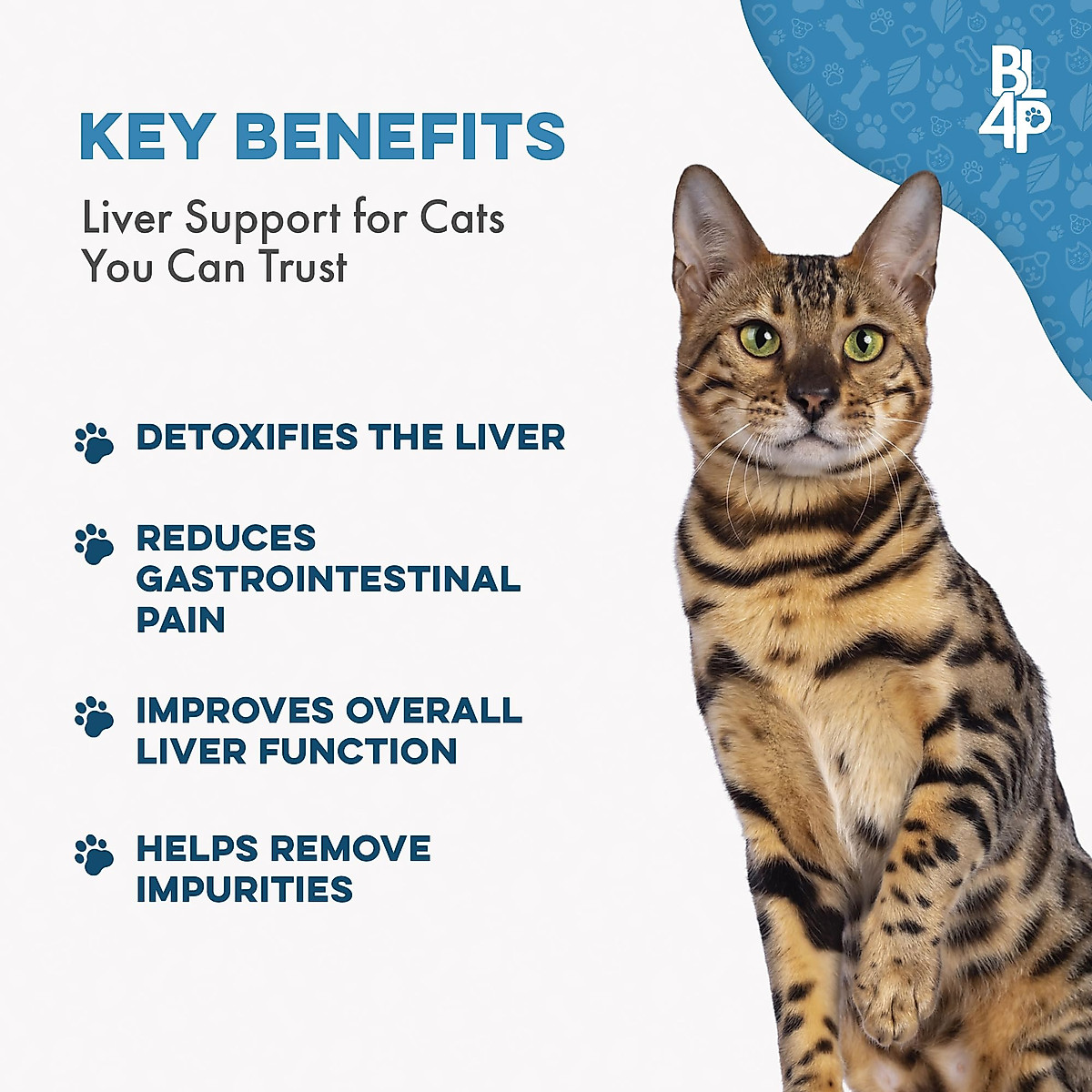 Hepatic Liver Support for Cats - Dissolvable Homeopathic Liver and Digestive Feline Supplement for Liver Detox and Nutrient Absorption - 100% All Natural - Easy to Give, Free of Chemicals or Additives