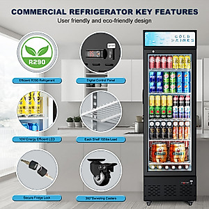 FreezLabs Glass Door Refrigerator Commercial Beverage Refrigerators with LED Light, 12 cu.ft and 5 Shelves, Display Refrigerator for Cafe Restaurant Store Bar, ETL/NSF Approved