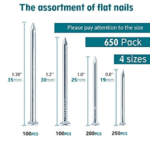 Nail for Hanging Pictures Assortment Kit - 650Pcs Small Nails, Finishing Nails, Hanging Nails, Picture Nails, Wall Nails for Hanging, Pin Nails