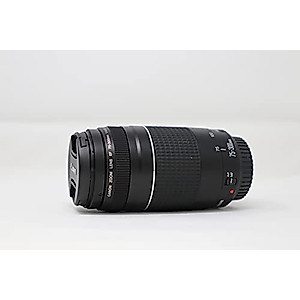 Canon EOS Rebel T7 DSLR Camera with 18-55mm f/3.5-5.6 is Zoom Lens + 75-300mm F/4-5.6 III Lens + 32GB Card, Tripod, Case, and More (24pc Bundle) (Renewed)