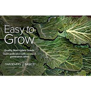 Collard Greens Seeds for Planting - Georgia Southern Non-GMO Vegetable Variety- 1 Gram Seeds Great for Summer, Fall and Winter Gardens by Gardeners Basics