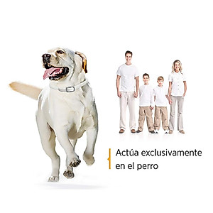 Antiparasitaire Collier Scalibor 48 cm