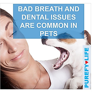 PUREFY Pet Dental and Breath Spray. Instantly Removes Bad Breath Odor. Helps Keep Pet Breath Fresh and Teeth Clean - Supports Gum Health. Cleared for Frequent Use.