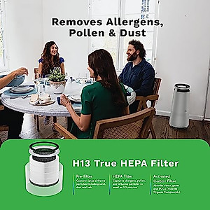 DH Lifelabs | Sciaire Mini + HEPA Air Purifier | Ions Actively Clean & Deodorize Air | Eliminates 99.9% of Bacteria & Viruses | H13 HEPA Purifier Filter for Allergies Pets | Bedroom Home | White
