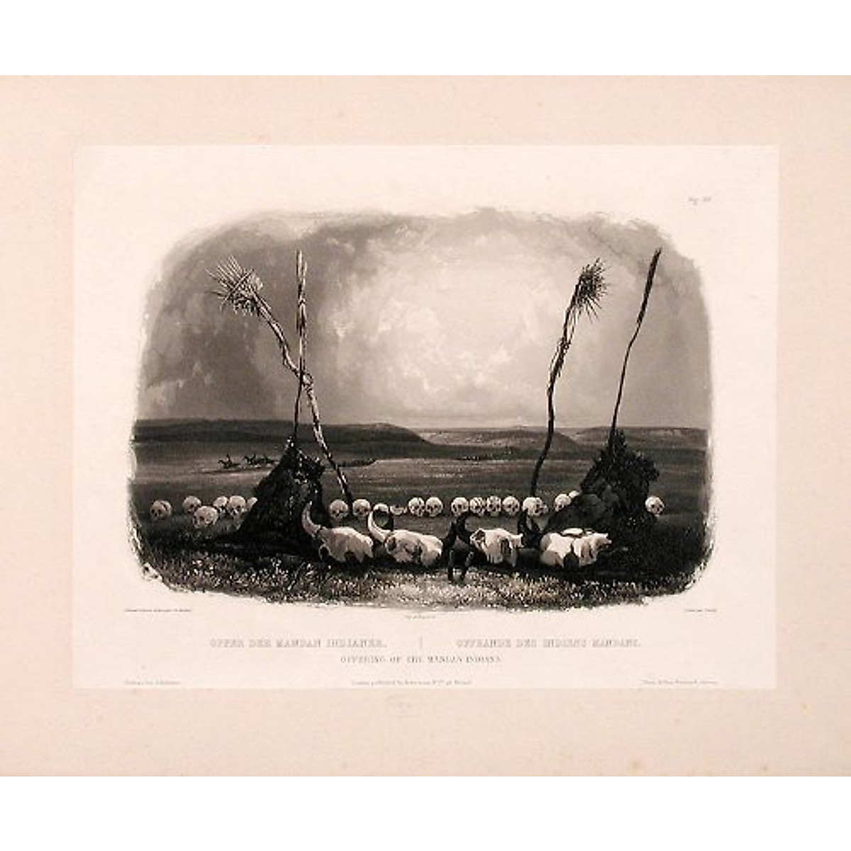 Offering of the Mandan Indians