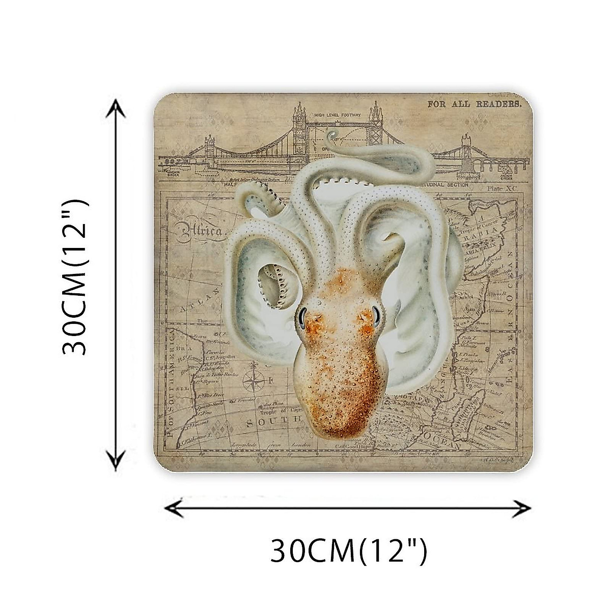 Ocean Life Tin Sign Colorful Octopus Metal Plaque Classic City State Map Beach House Funny Novelty Sign Metal Wall Plaques for Home Garden Master Room Garden Bar 12x12in